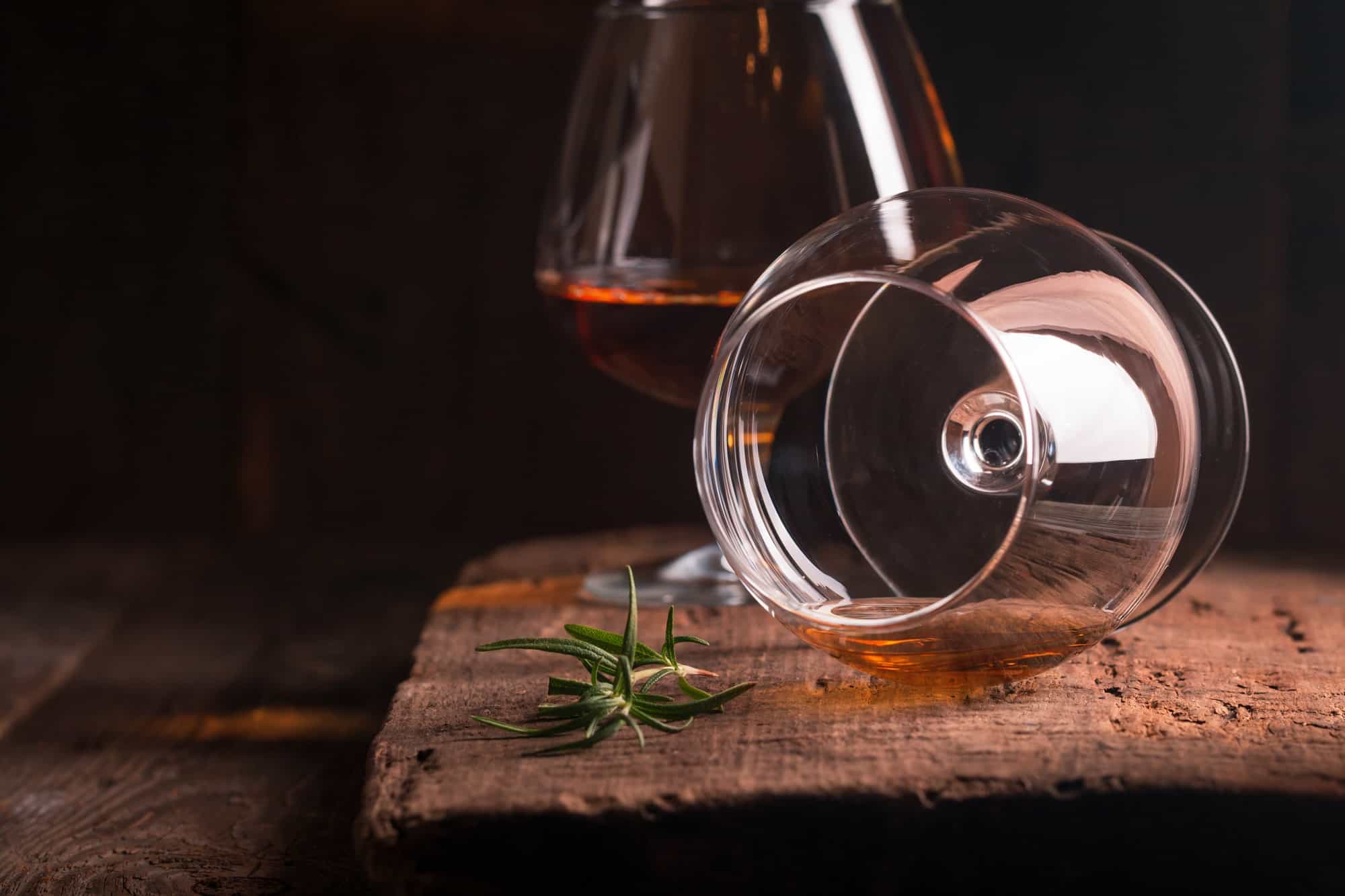 photo Portfolio - ONE PICSAL Inc.